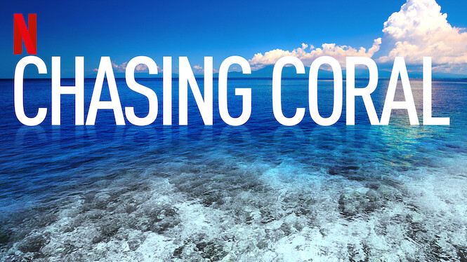 Is 'Chasing Coral' on Netflix? Where to Watch the Documentary - New On ...